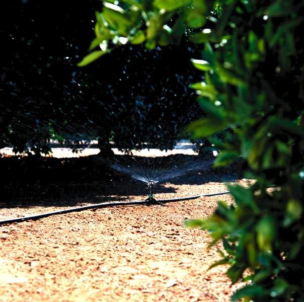 SuperNet™ | Sprinkler systems | Netafim