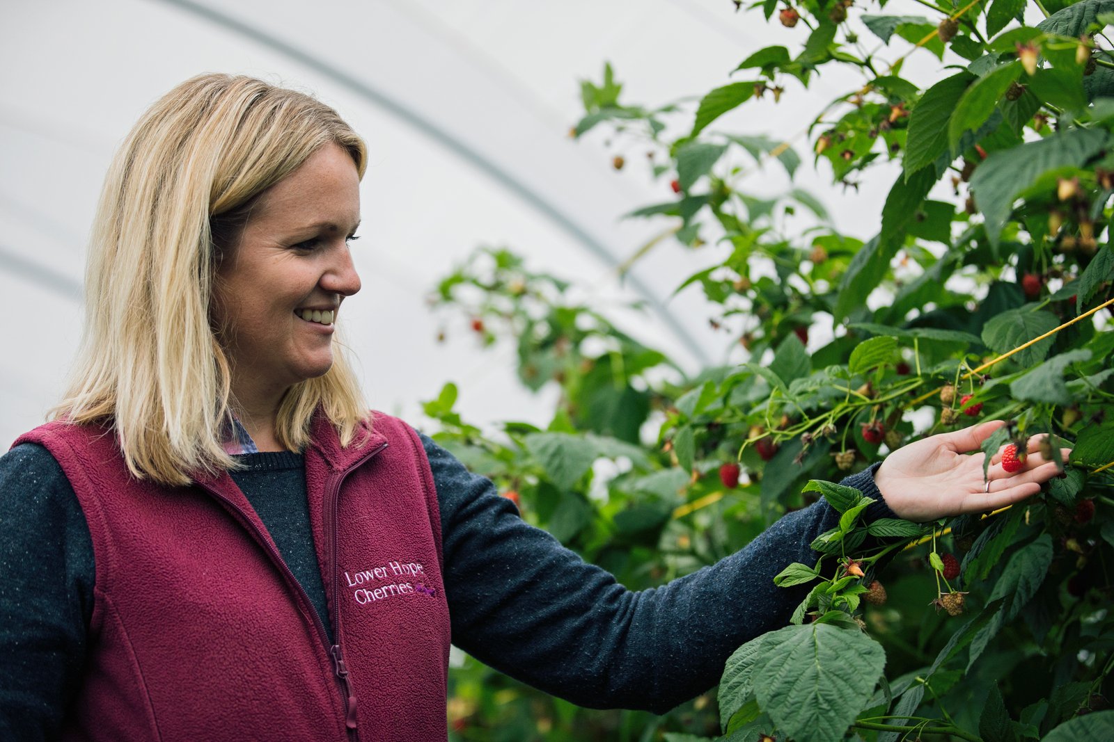 Netafim UK irrigation