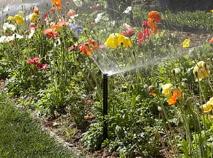 Products and Solutions | Netafim