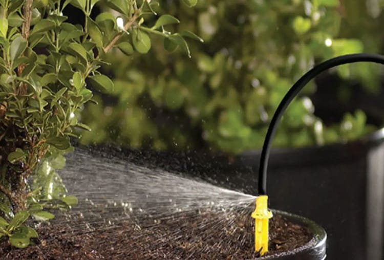 Non-PC Spray Stakes for Precise Water and Fertilizer Distribution | Netafim
