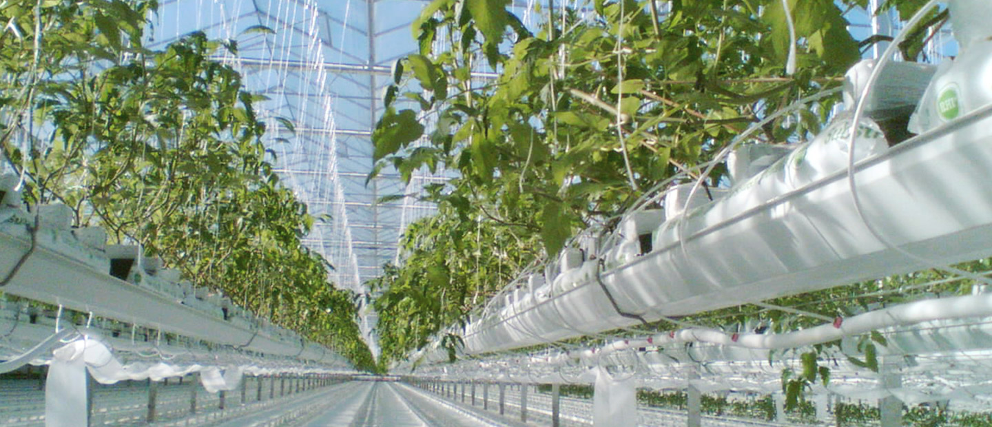 Greenhouses
