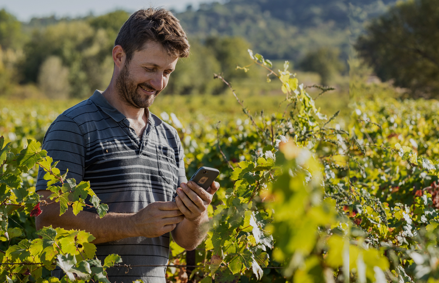 Netafim™ Venturi Injectors | Fertigation