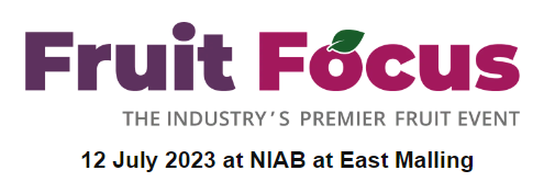 Fruit Focus